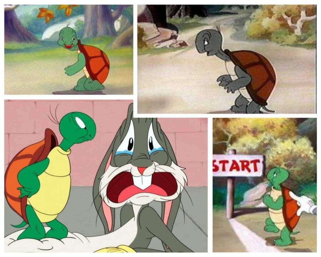 Cecil Turtle: Speed with Wit and Wisdom