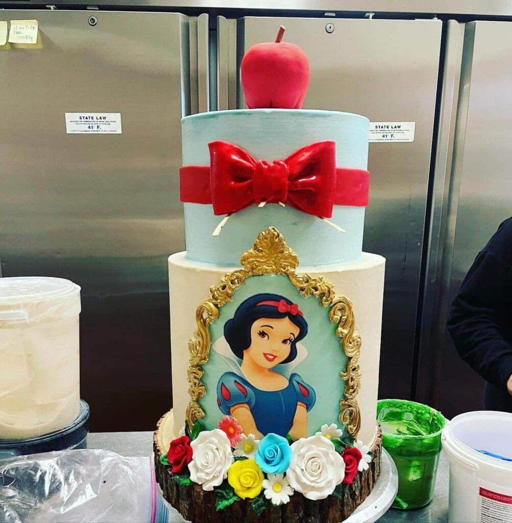 15+ Disney Princess Cake Ideas and Designs