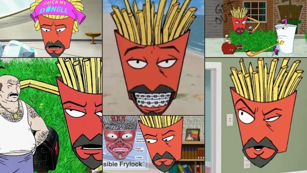 Frylock from Aqua Teen Hunger Force